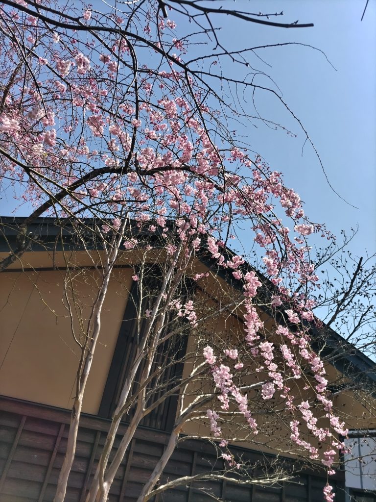 よろしくお願いします – TENMA – 天馬 – | こまぎの訪問看護ステーション